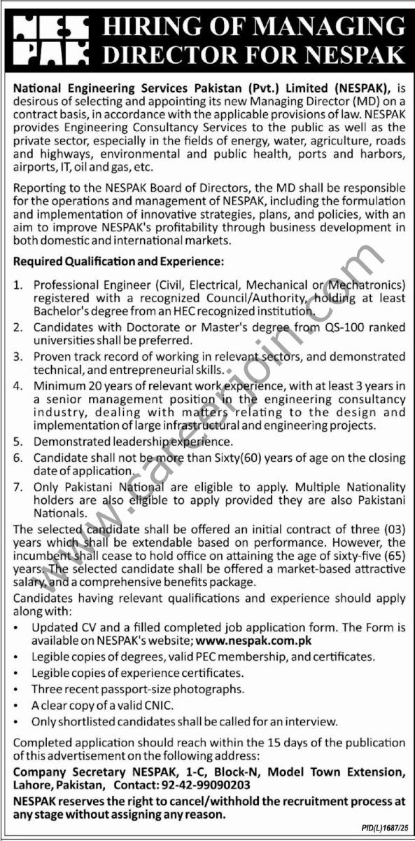 NESPAK Jobs Managing Director