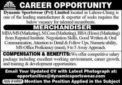 Dynamic Sportswear Pvt Ltd Jobs Merchandiser